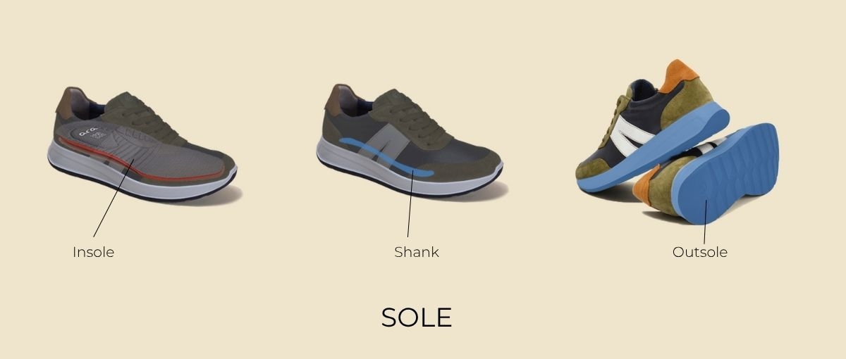 The anatomy of a shoe