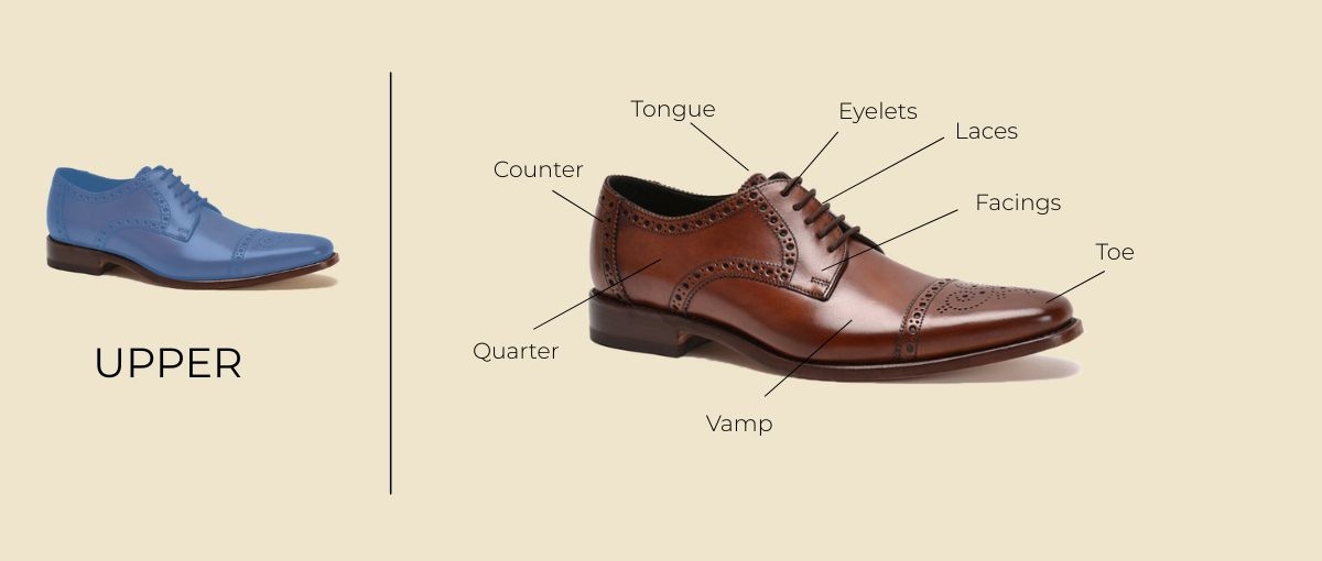 The anatomy of a shoe